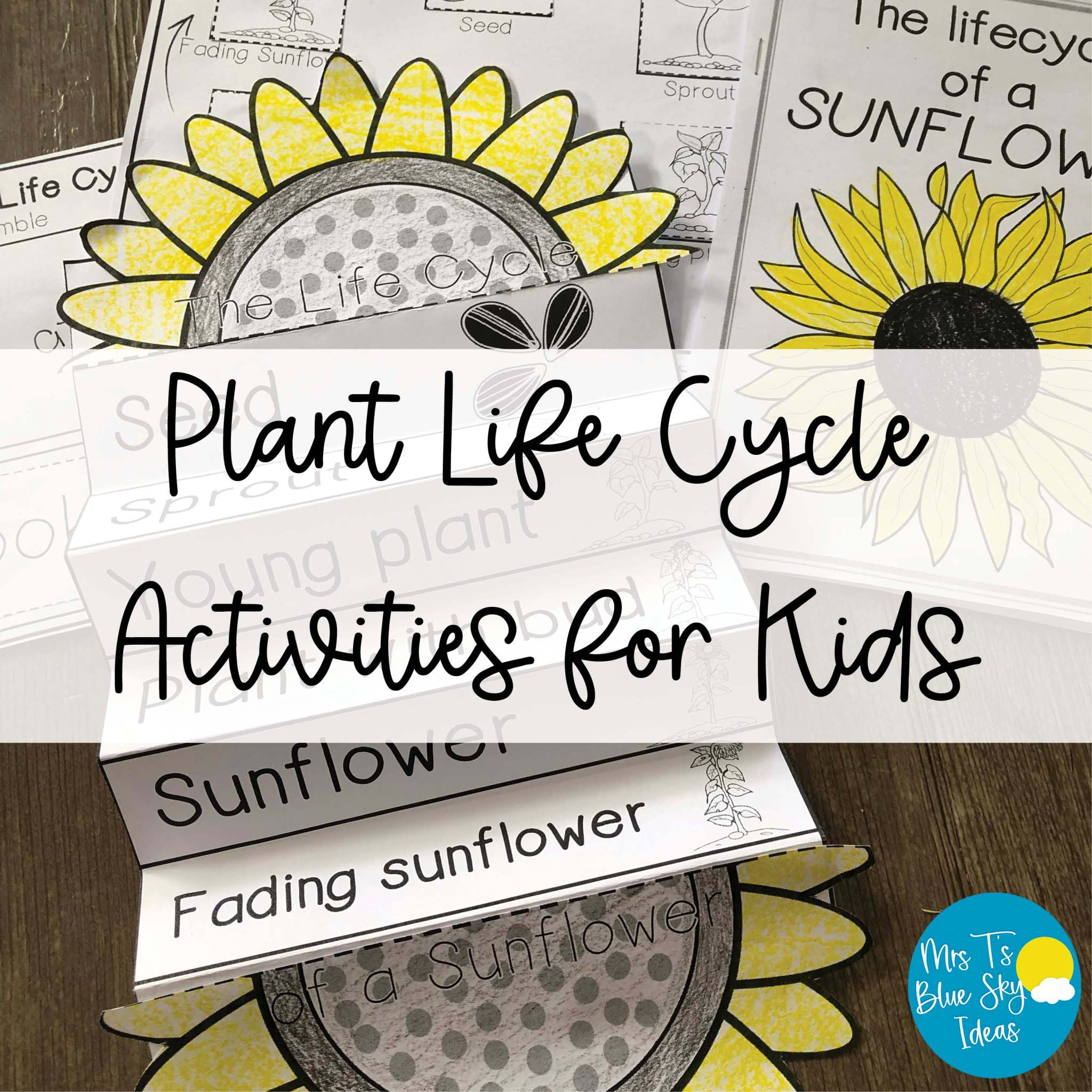 6 Fun and Easy Plant Life Cycle Activities for Kids – Mrs T's Musings